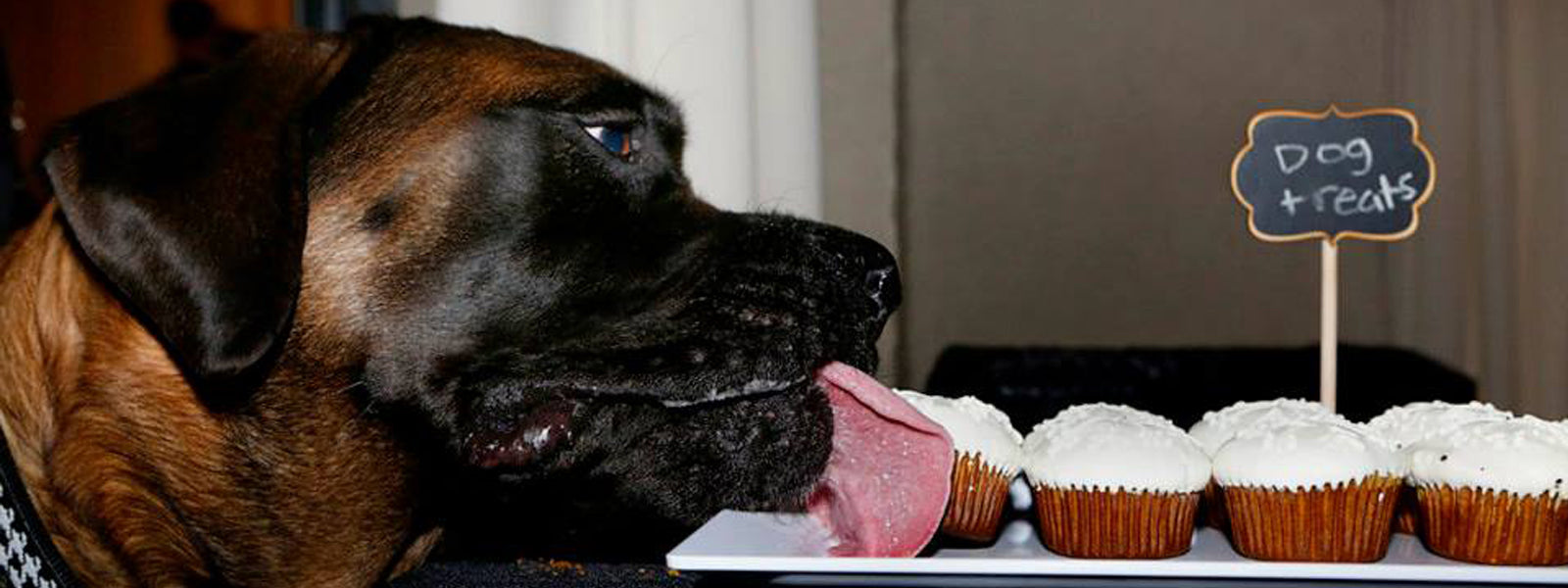 Gourmet Natural Dog Treats & Biscuits in FL | Bubba Rose Biscuit Co.